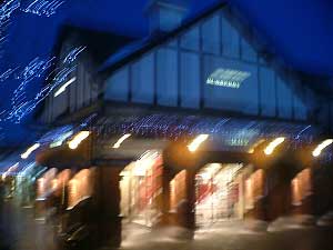 Chester Tourist - Cheshire Oaks