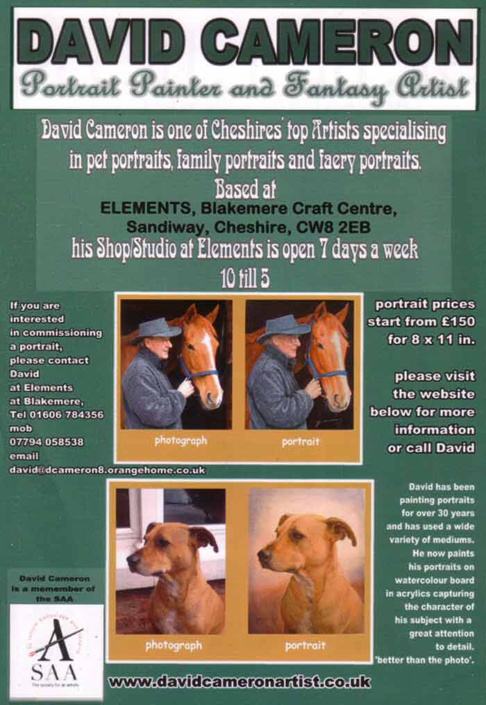 Chester Tourist - Chester Artists David Cameron