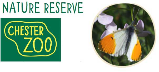 Chester Tourist - Chester Zoo Main Page